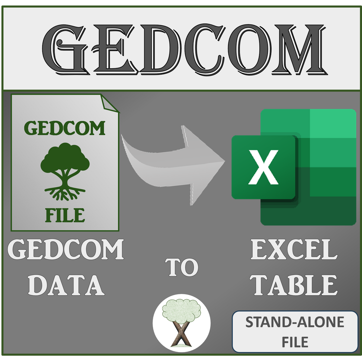 Family TreeXcel - GEDCOM Workbook (Windows)
